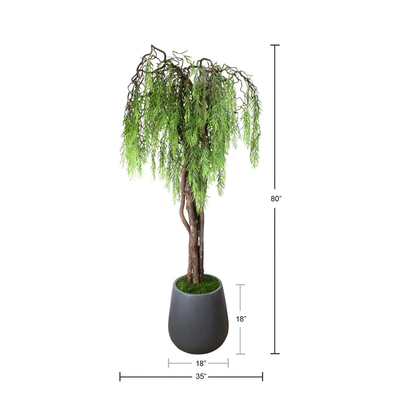 Creative Displays, Inc. 6.5' Weeping Willow Tree with Moss in Fiberstone Pot | Wayfair